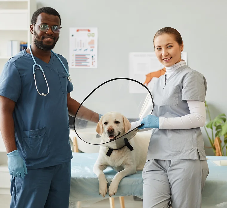 For Veterinary Hospitals - Central Hospital For Veterinary Medicine